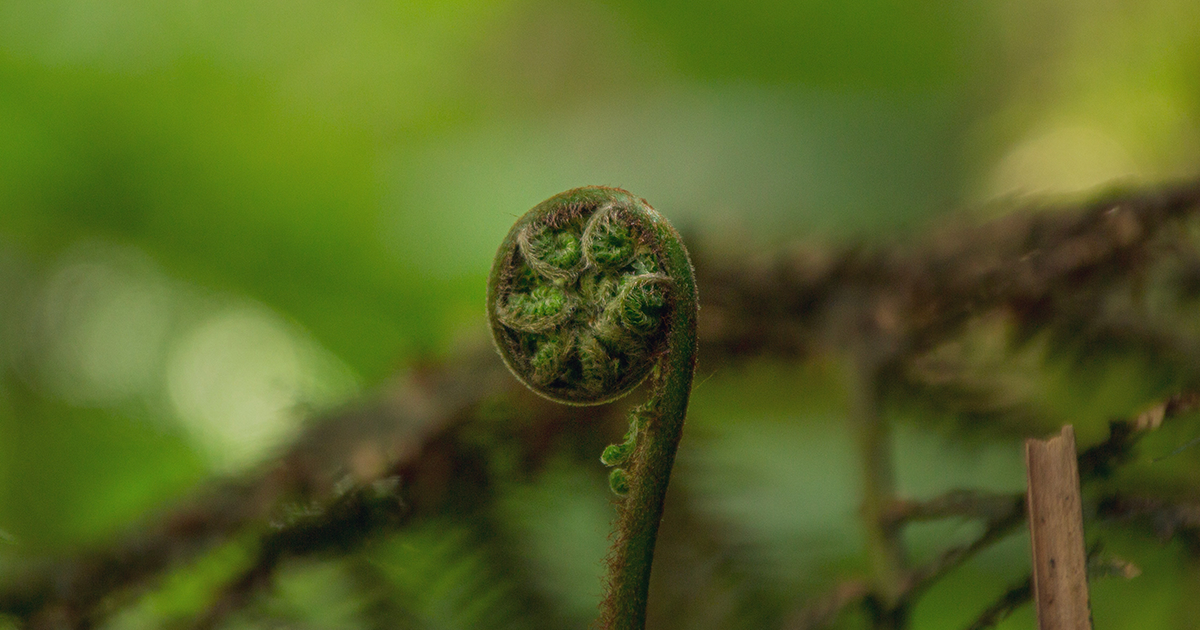 ESGの「E」 - IR STUDIO